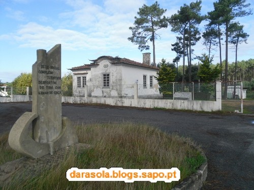 Trilho da floresta - PR1 - Ovar - darasola