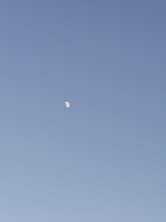 Uma lua perdida? - pessoas e coisas da vida