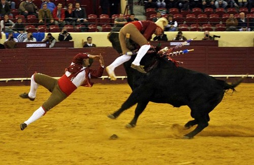 No Campo Pequeno vai acontecer a Festa do Forcado - Portuga - Coruche