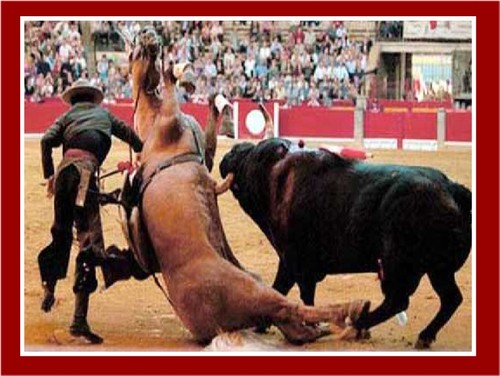 A VERDADE SOBRE AS TOURADAS - Arco de Almedina