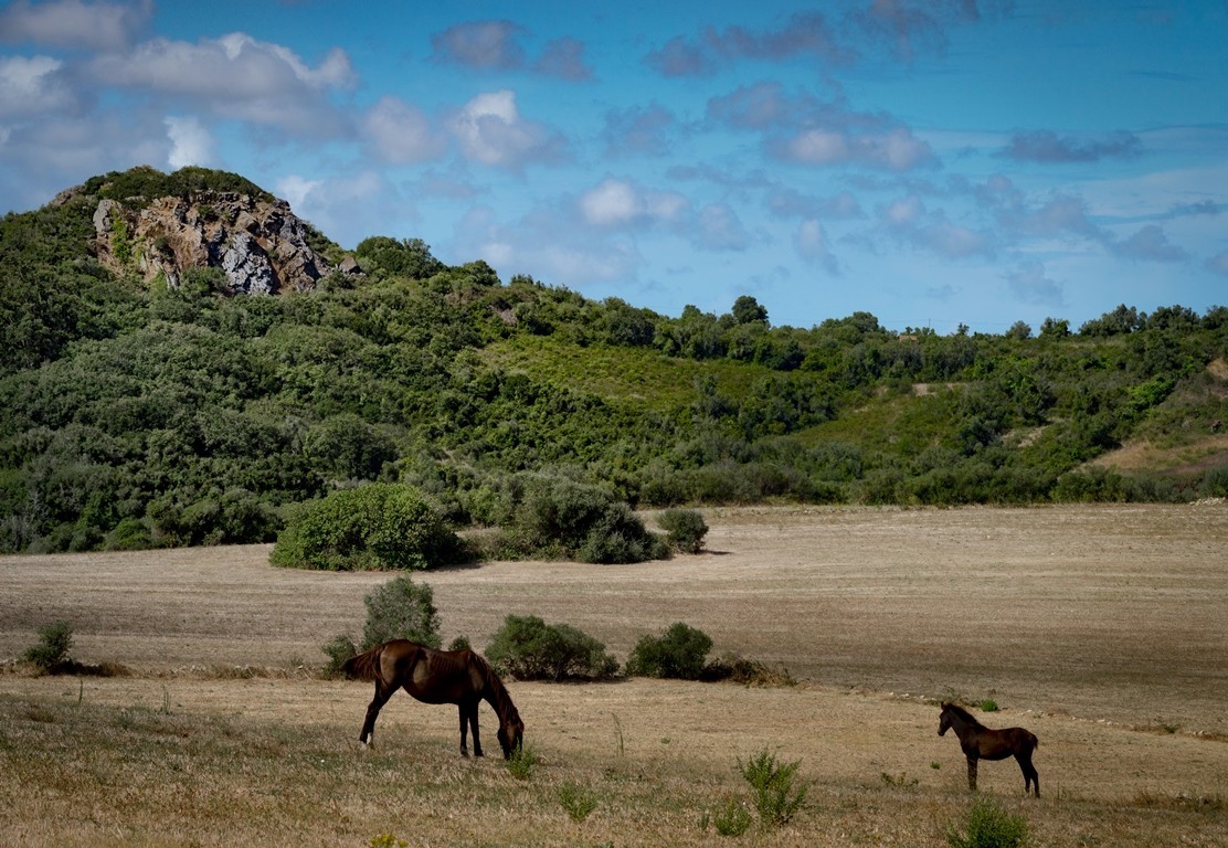 O Penedo do Lexim - A Minha Sintra
