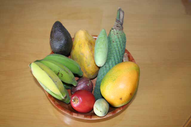 FRUTAS DA MADEIRA - MADEIRA
